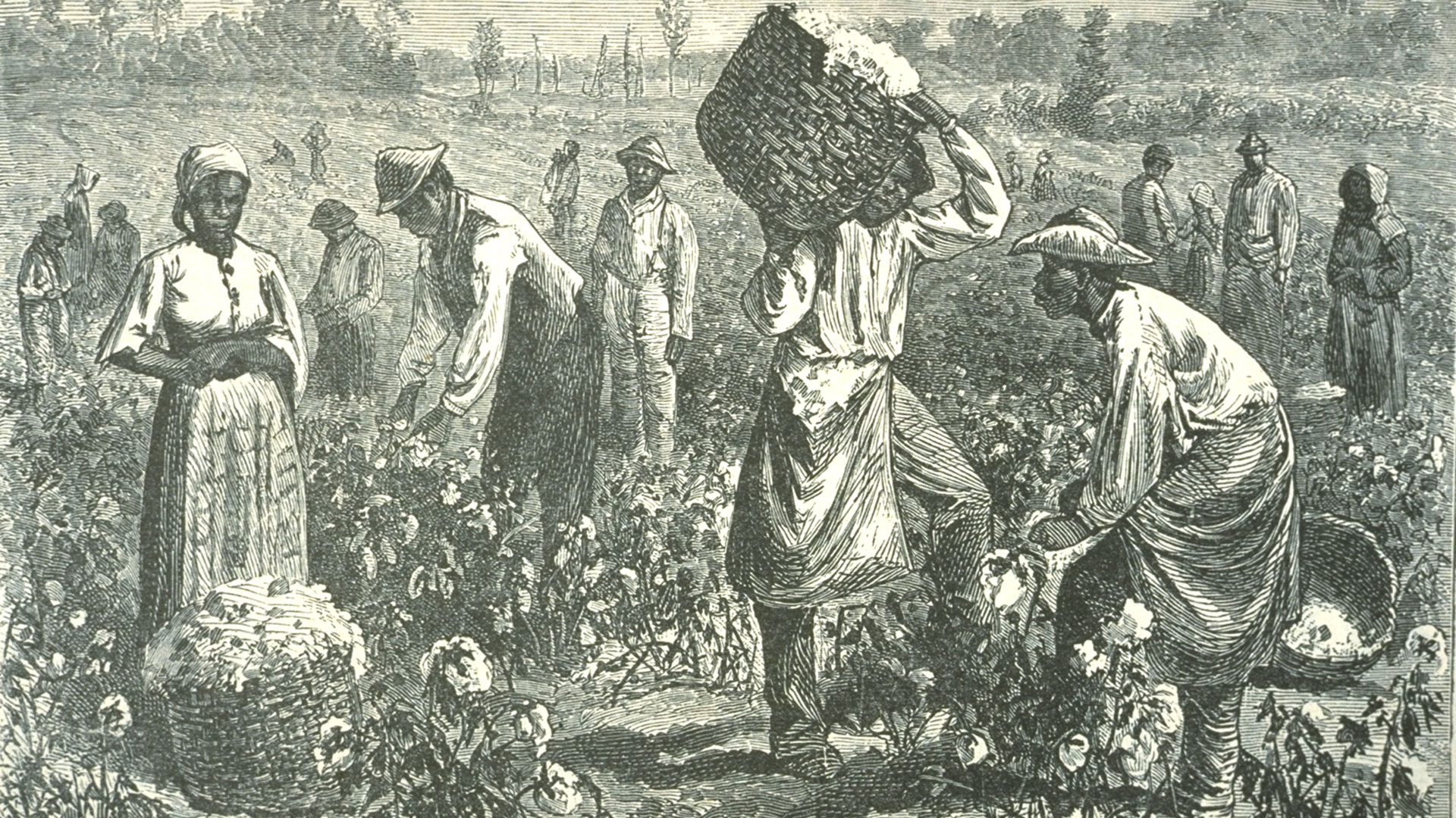 History of Work Song, Field/Street Call, Satirical & Protest Songs ...